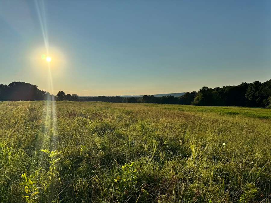 Income Producing Deer Hunting & Recreational Property with Scenic Views ...